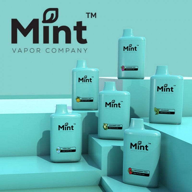 Mint by MNKE Bars 6500 Puffs Disposable Vape | $11.99